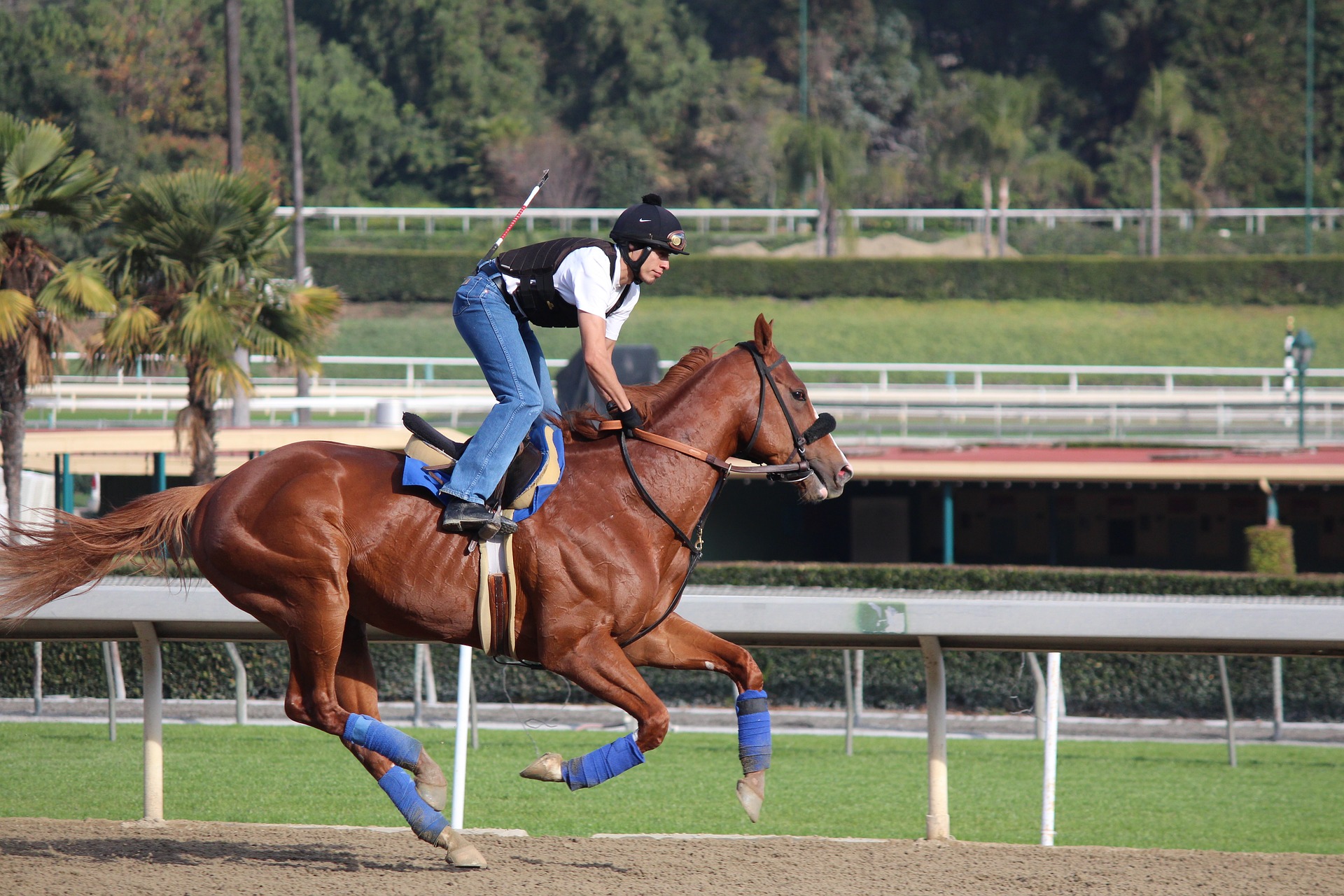 5 Ways that Jockeys Stay in Shape - Consulting Fitness